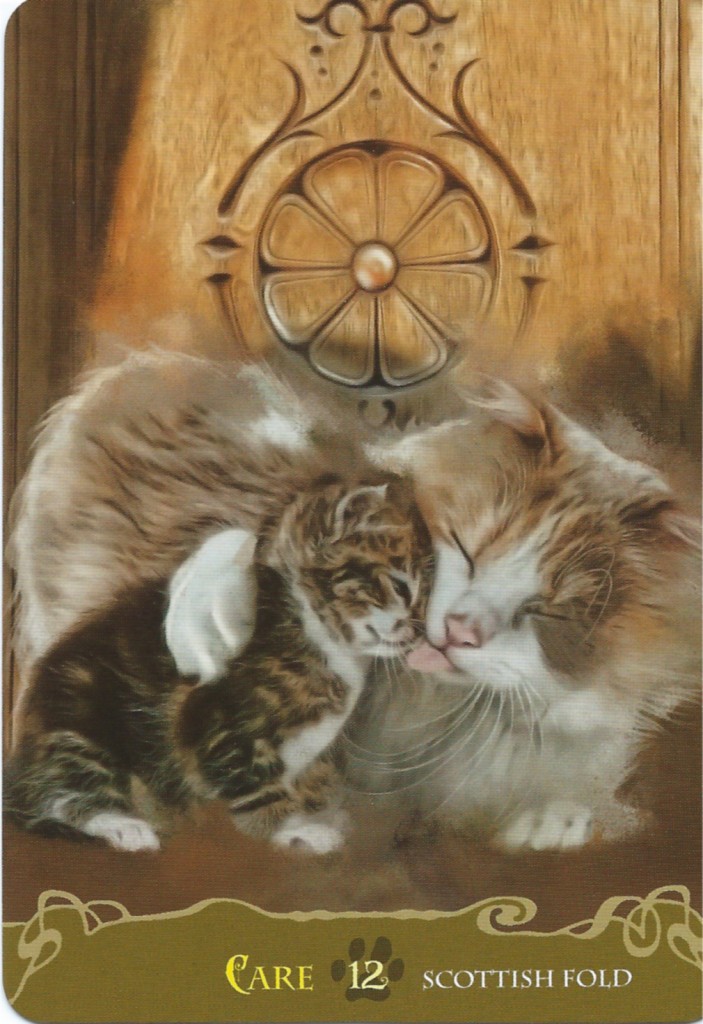 Cats Inspirational Oracle Cards – Llewellyn Unbound